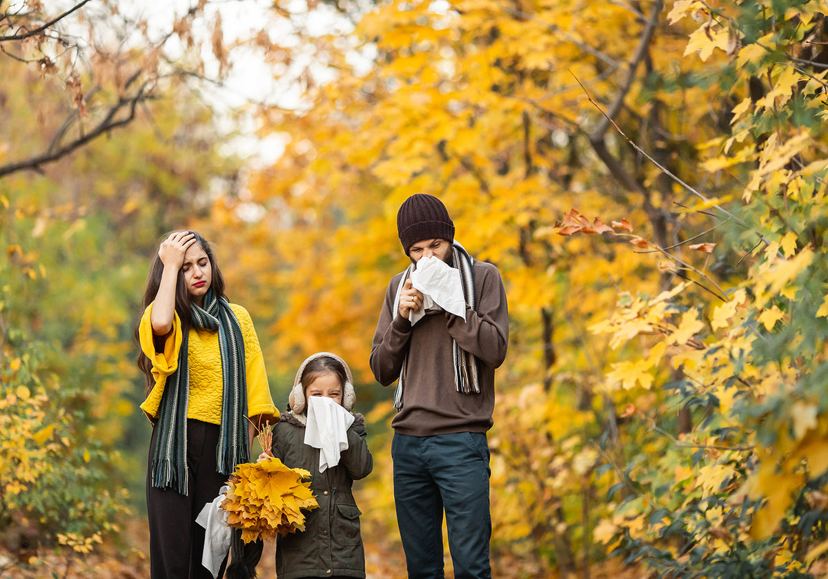 How to Manage Your Fall Allergies | Hunter Pure Air