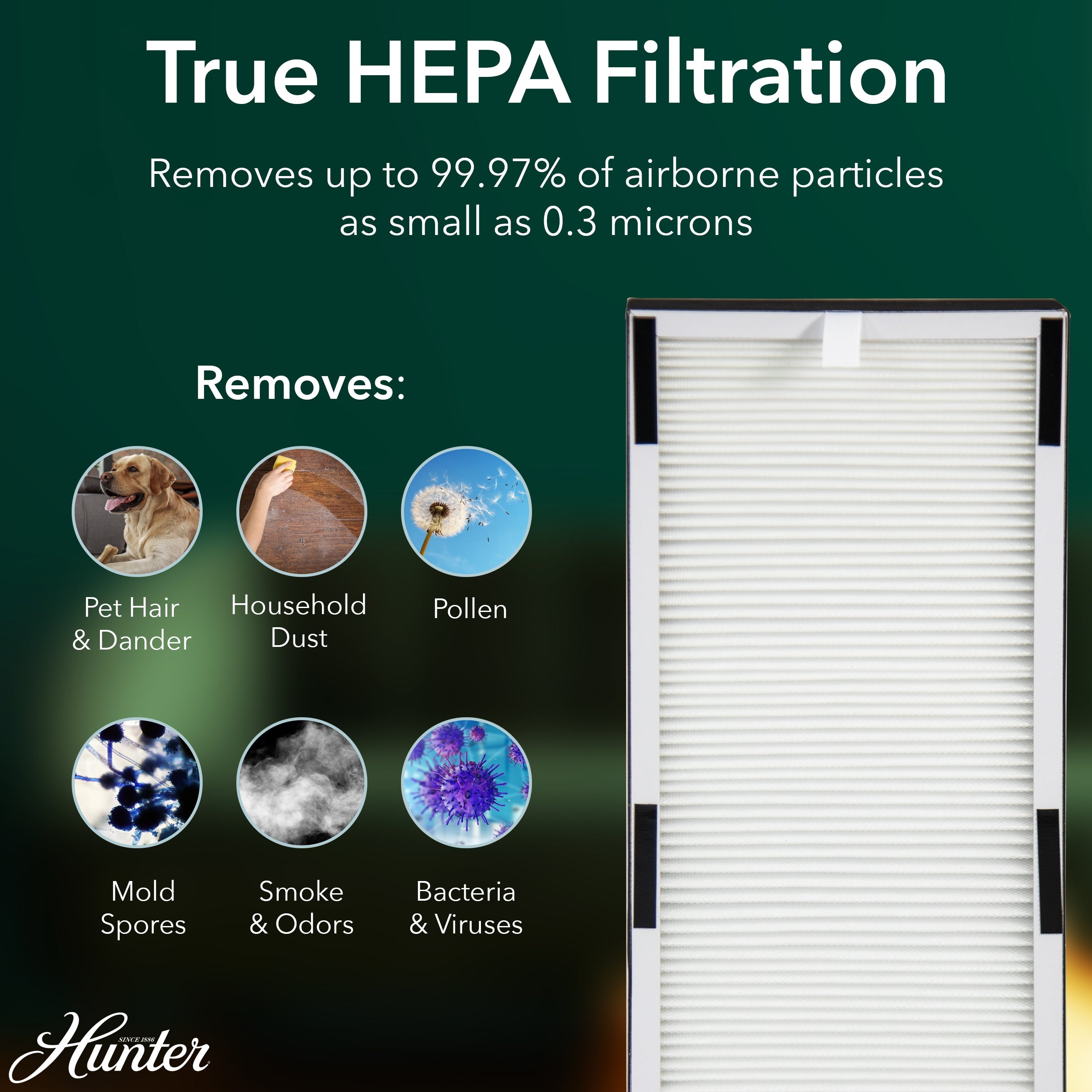 Replacement Air Purifier Filters | Hunter Pure Air